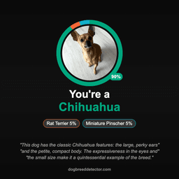 Online Dog Breed Identifier Ai Dog Breed Generator Dog Breed Detector