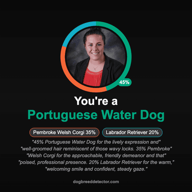 Online Dog Breed Identifier Ai Dog Breed Generator Dog Breed Detector